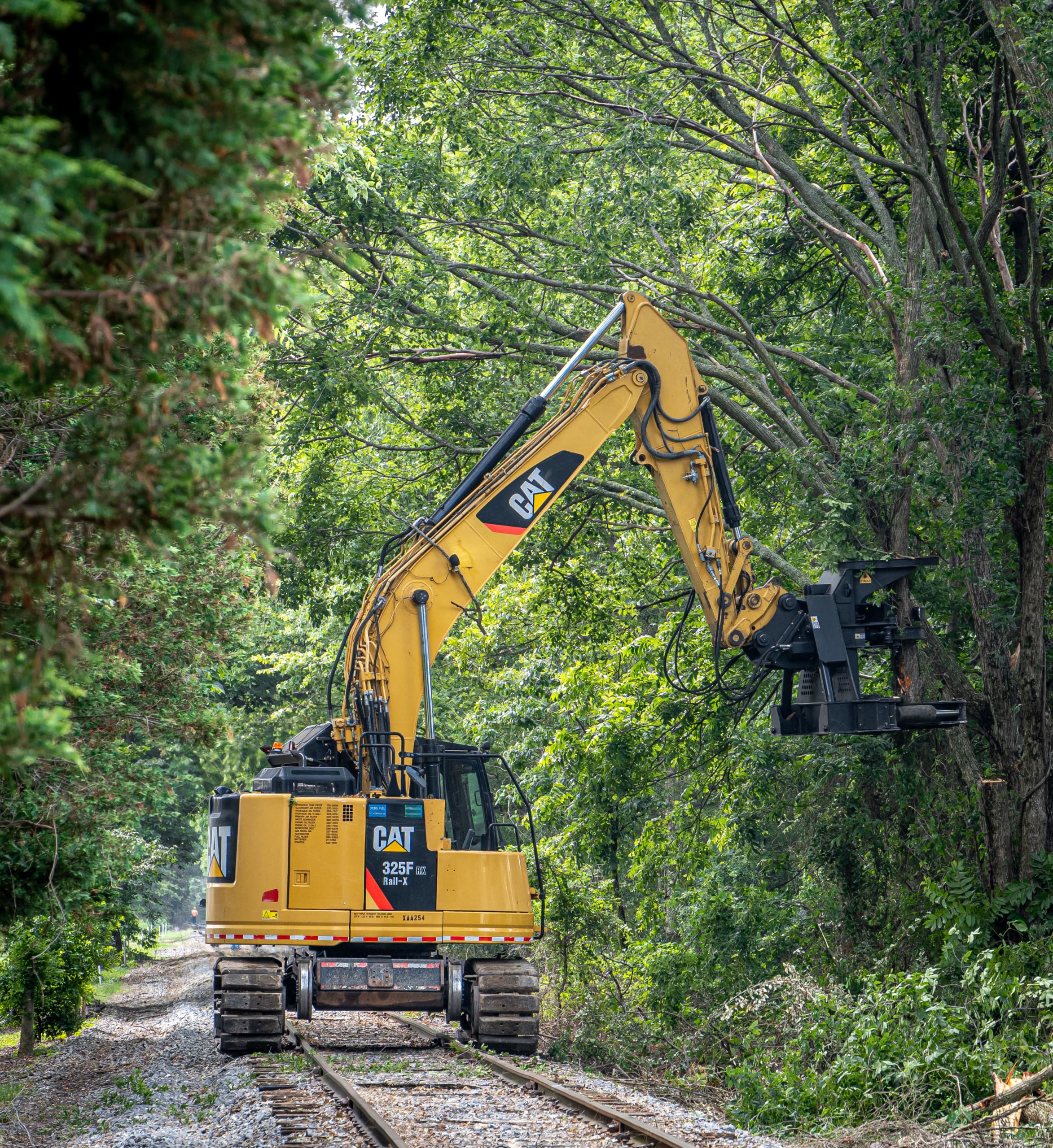 Remove Trees and Brush Near Railroad Tracks